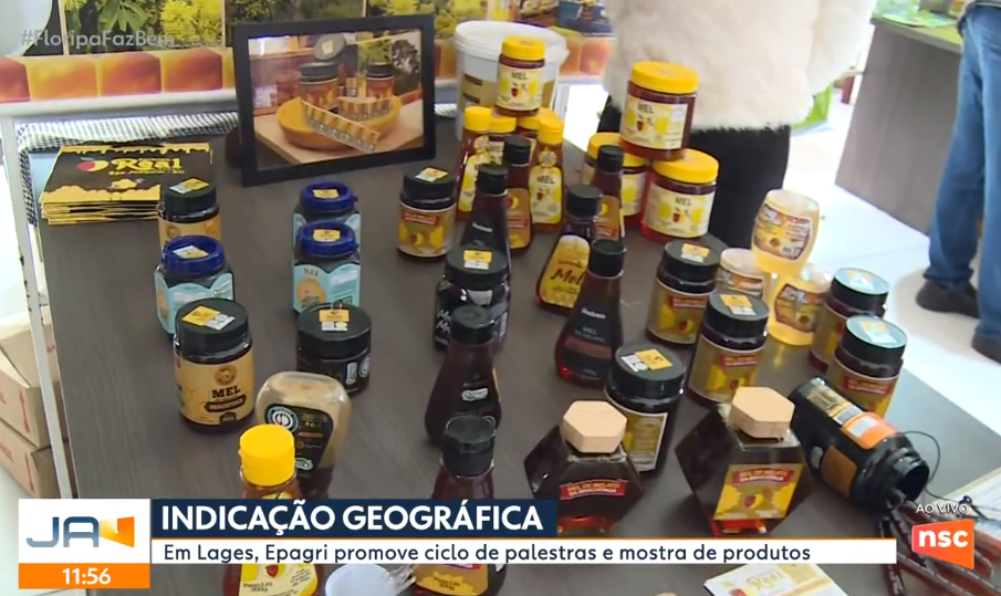 Igmelatodabracatinga