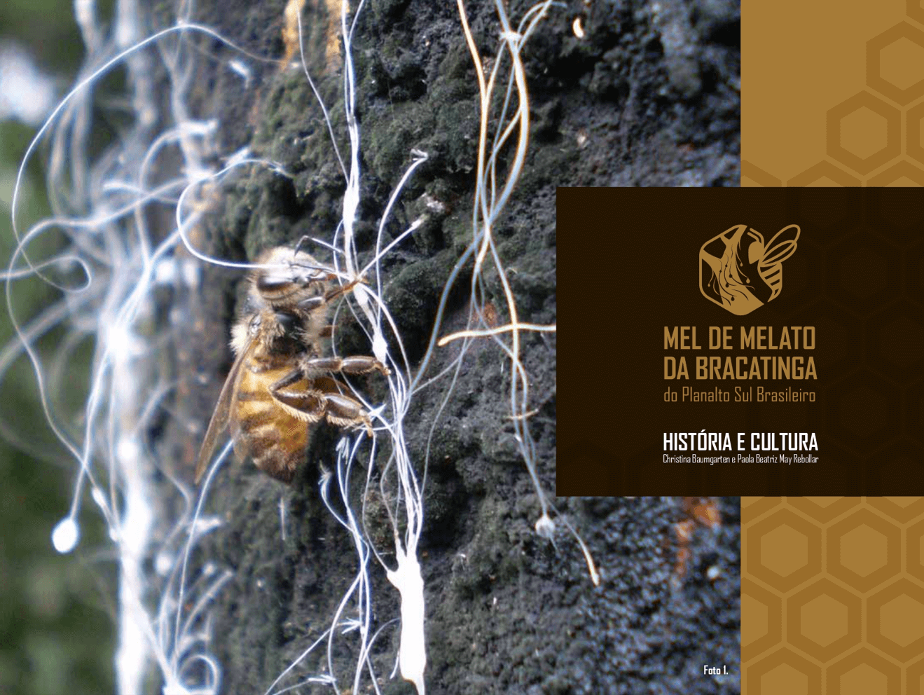 Igmelatodabracatinga