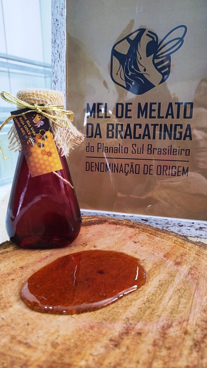 Igmelatodabracatinga