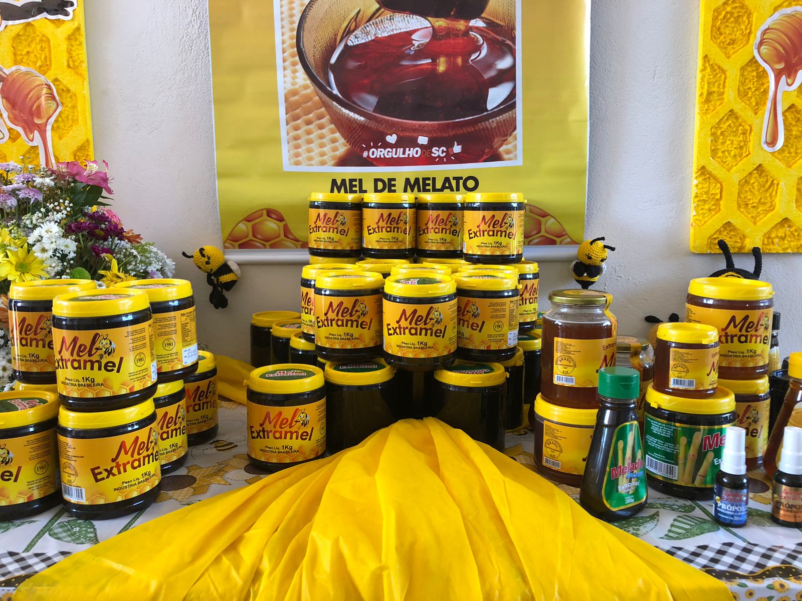 Igmelatodabracatinga